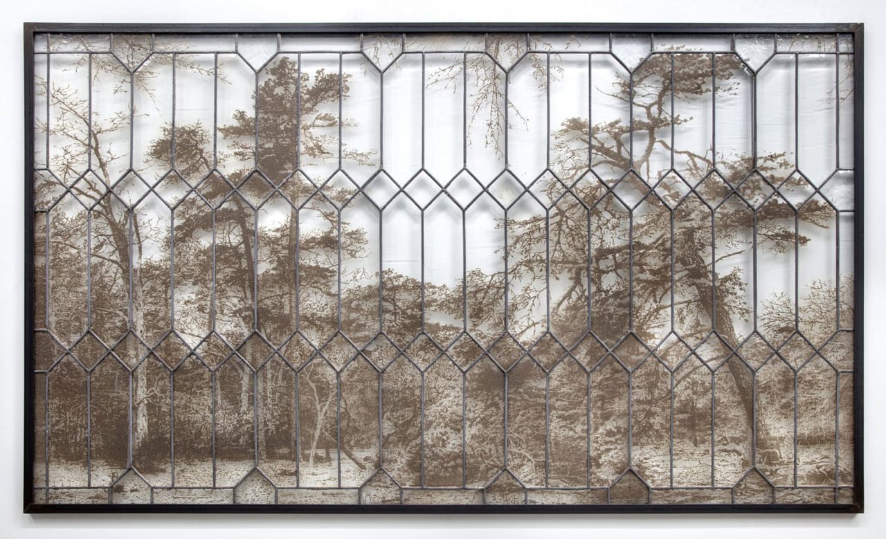 Matthew Brandt: Rocks and Eagles — The Newark Museum of Art