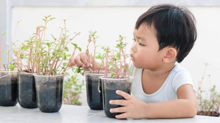 Creative Play: Seed Magic — The Newark Museum of Art