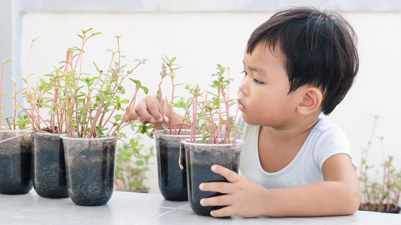 Creative Play: Seed Magic — The Newark Museum of Art