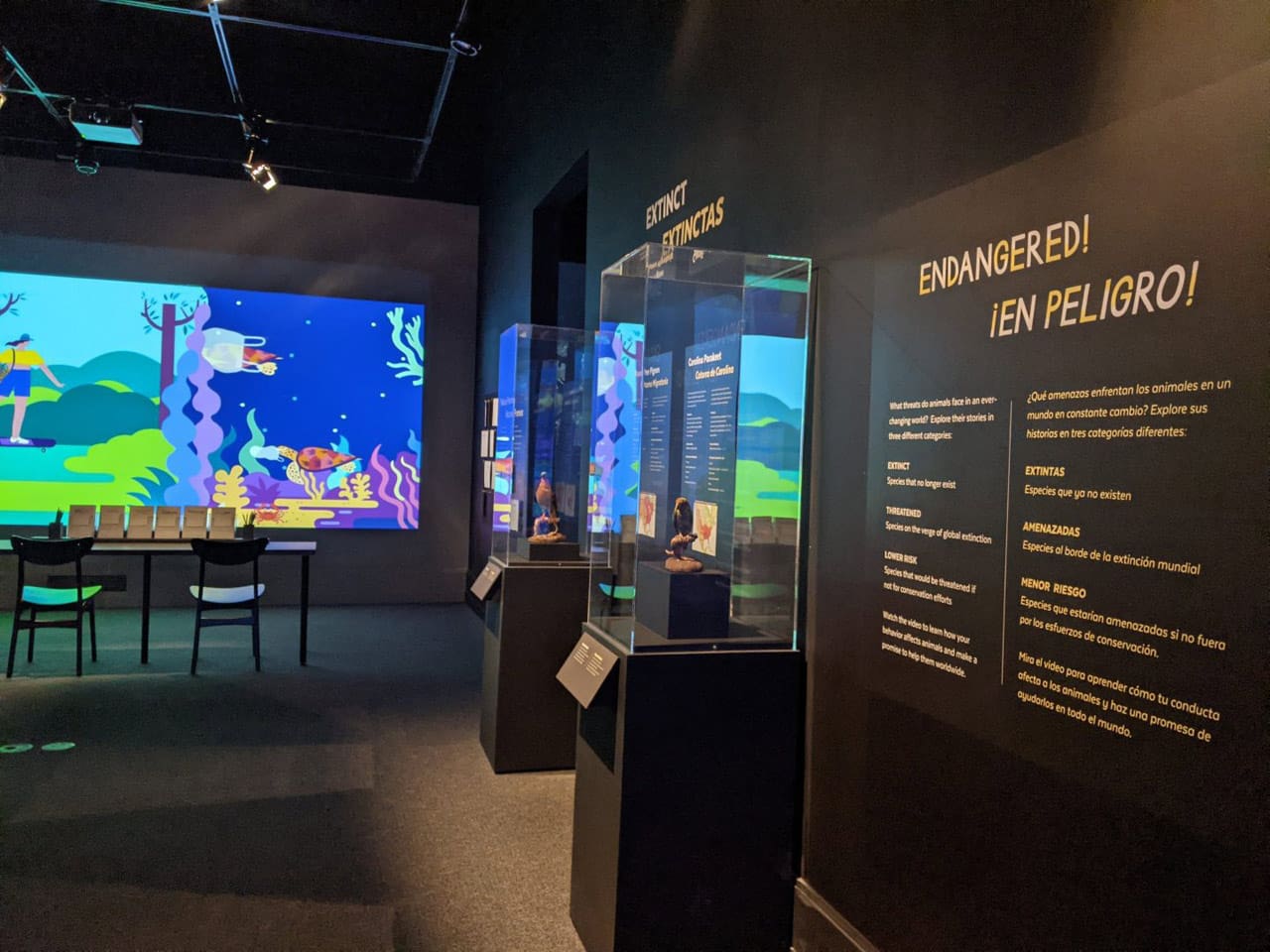 Animal Kingdom — The Newark Museum of Art