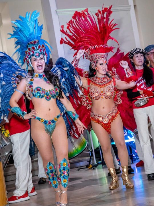 Community Day: Brazilian Carnival Recap — The Newark Museum of Art